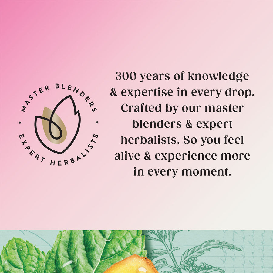 Superblends Metabolism Peppermint Spiced Nettle Green Tea 20 Envelopes ...