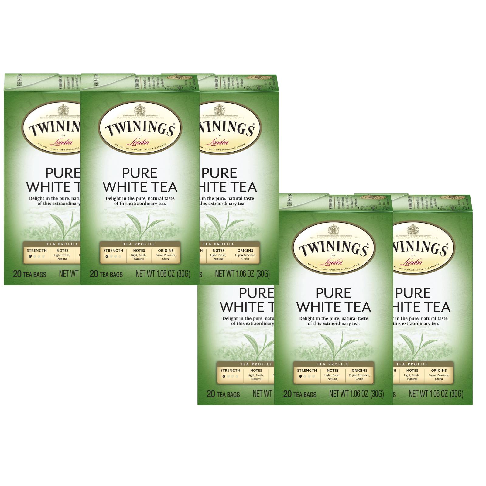 Pure White Tea (International Blend) - 20 Envelopes – Twinings